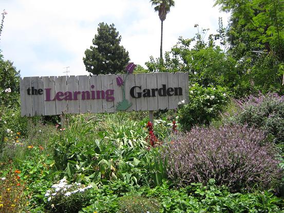 Learning Garden